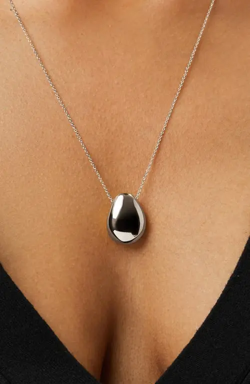 ANA LUISA Polished Pebble Pendant Necklace - Silver