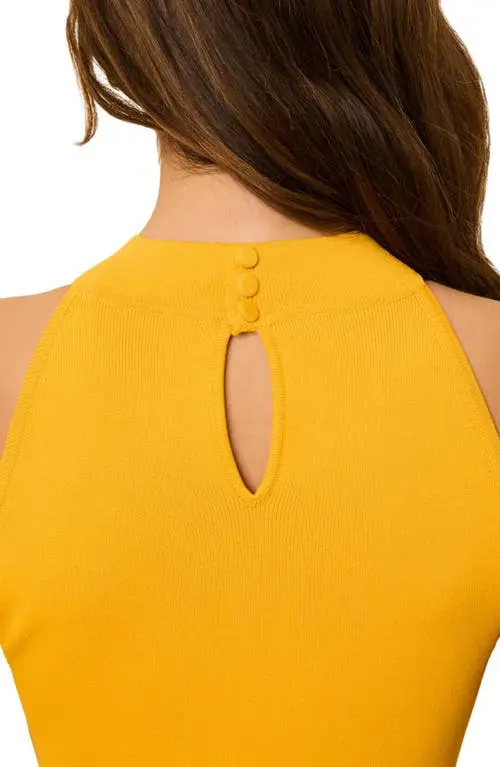 Solid & Striped The Isola Sleeveless Maxi Dress - Pineapple