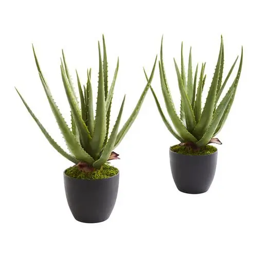 NEARLY NATURAL Aloe Artificial Plant - Green