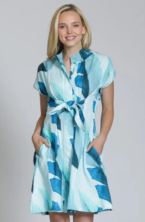 APNY Seersucker Shirtdress