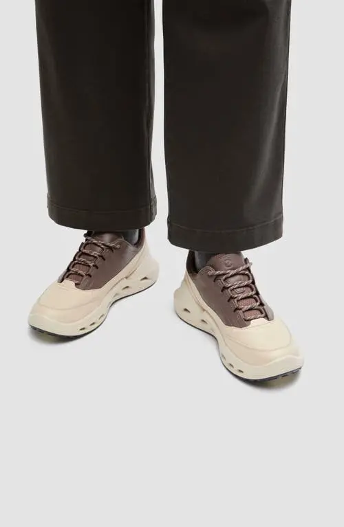 Ecco Biom® 720 Water Resistant Sneaker - Limestone/marron/marron