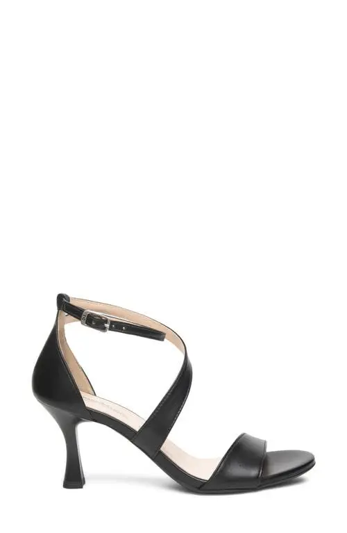 NEROGIARDINI Ankle Strap Sandal - Black