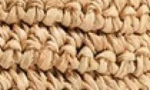Pamela Munson The Avis Raffia Hobo Bag
