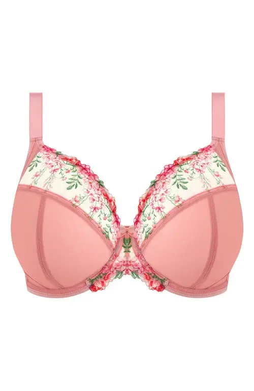 Elomi Aerith Full Figure Underwire Plunge Bra