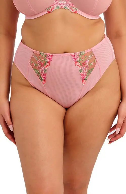 Elomi Aerith Embroidered Briefs - Rose