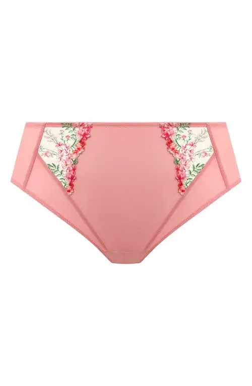 Elomi Aerith Embroidered Briefs