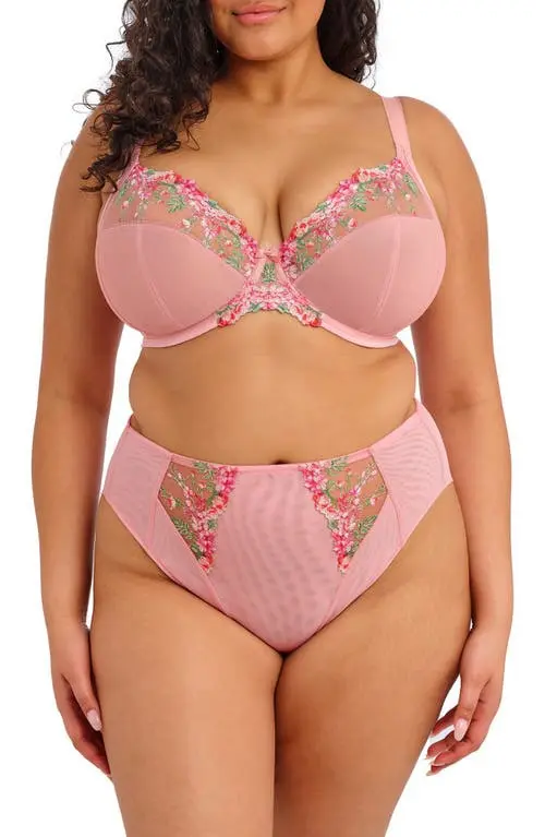 Elomi Aerith Embroidered Briefs