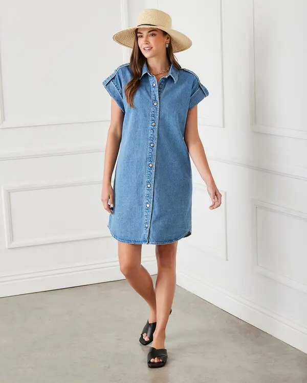 Karen Kane Cap Sleeve Shirtdress