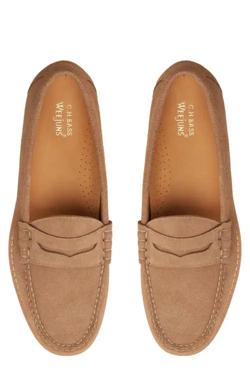 G.H.BASS Larson Weejuns® Penny Loafer - Oyster