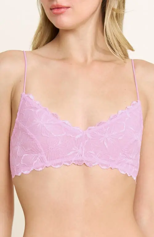 Honeydew Intimates Jessa Lace Bralette - Petal