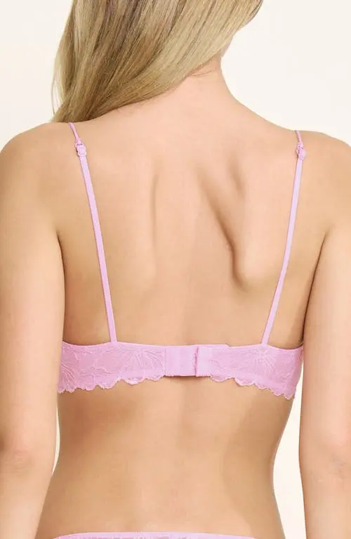 Honeydew Intimates Jessa Lace Bralette - Petal