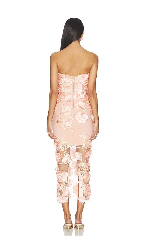 ZHIVAGO Strapless Maxi Dress With Floral Appliqués