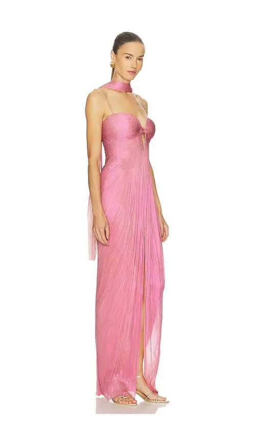 MARIA LUCIA HOHAN Tonia Dress