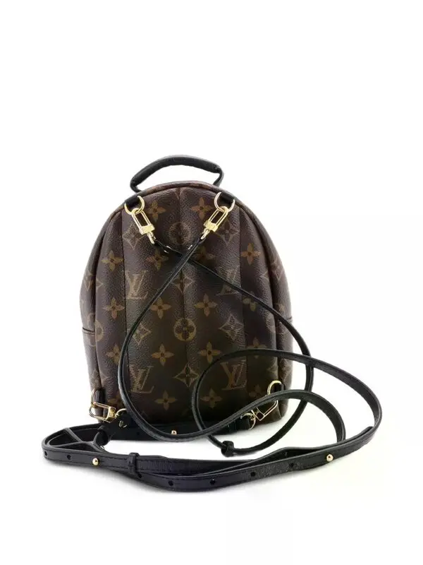 LOUIS VUITTON Palm Springs Monogram Canvas Mini Backpack - Brown