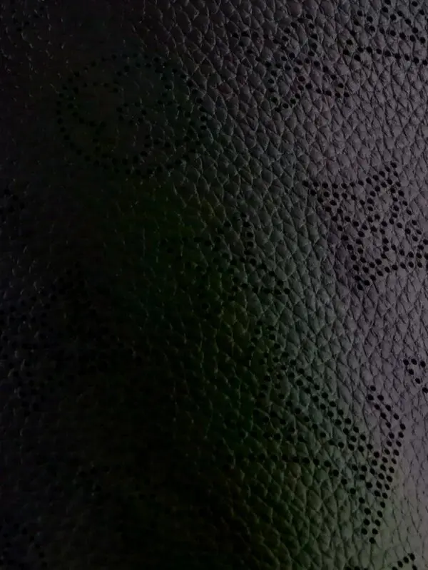 LOUIS VUITTON Bella Mahina Leather Tote Bag