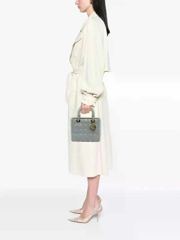 Dior 2020 Medium Lambskin Cannage Lady Satchel