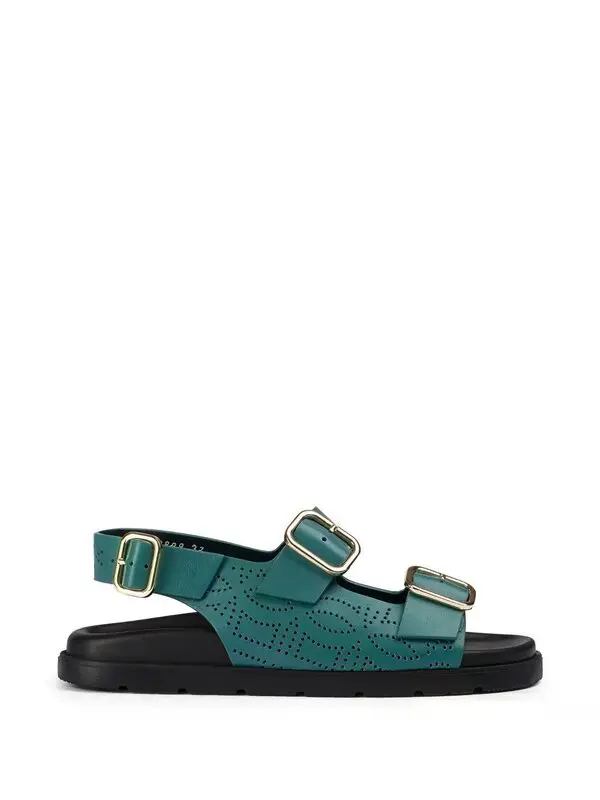 DOUCAL'S Perforated Leather Buckle Sandals - Green