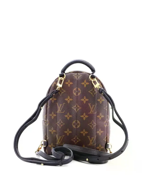 LOUIS VUITTON Palm Springs Monogram Canvas Mini Backpack - Brown