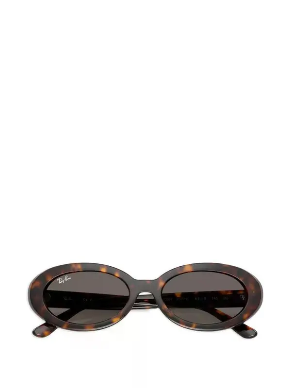 Ray-ban Oval-frame Sunglasses - Brown