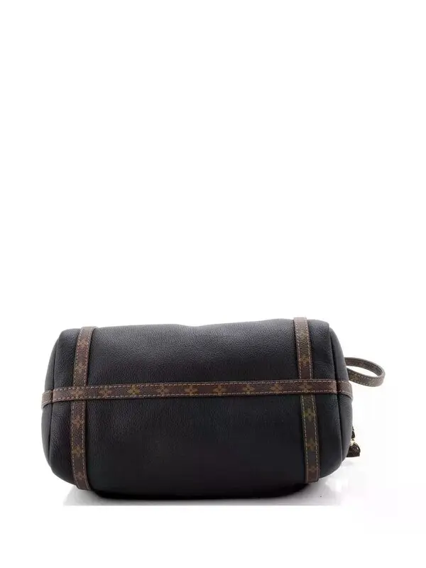 LOUIS VUITTON Express Handbag Leather With Monogram Canvas Pm