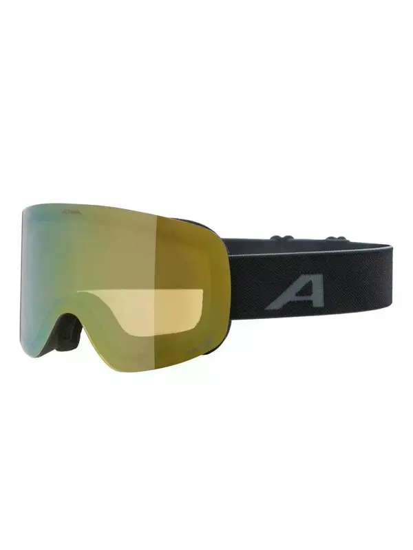 ALPINA Penken Q Ski Goggles - Black