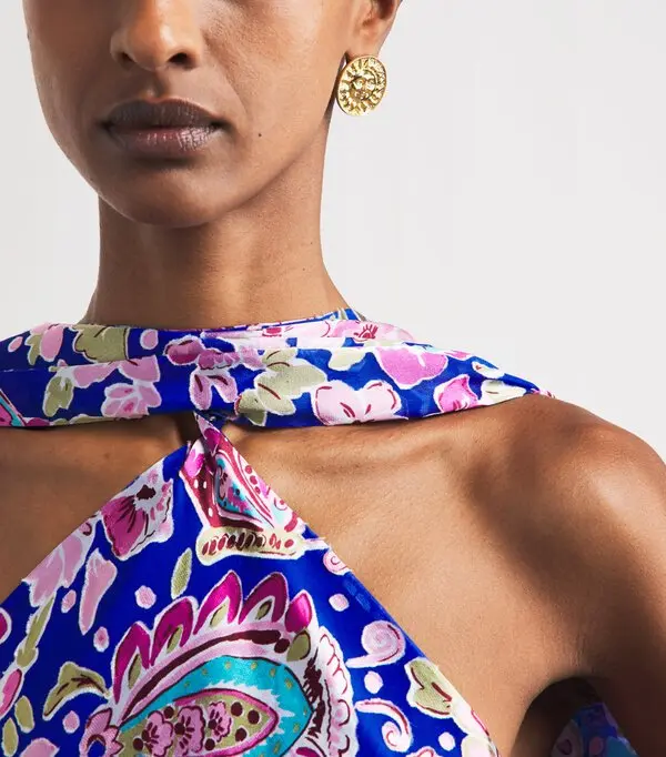 Rixo Plated Noni Sun Earrings
