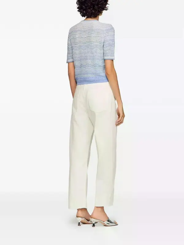 Sandro Decorative Knit Cardigan