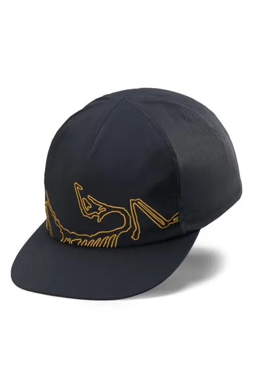 Arc'teryx Silex Embroidered Baseball Cap - 24k Black