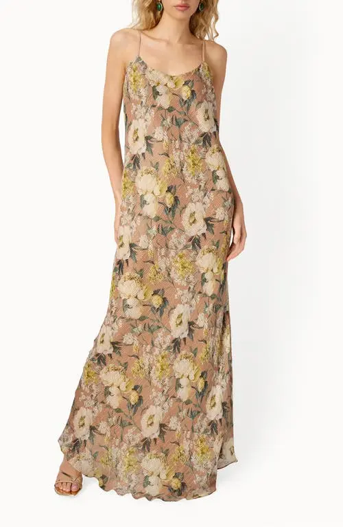 Cami Nyc Luanna Metallic Chiffon Maxi Dress - Morning Flourish