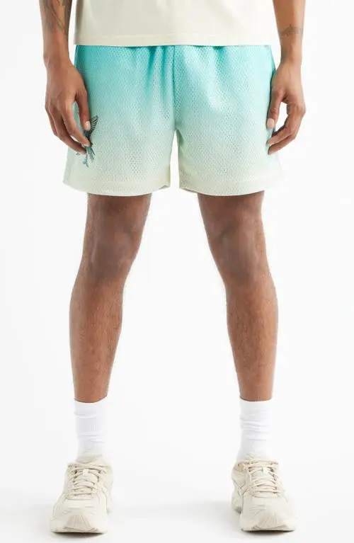 OVERTIME Mesh Shorts - Blue