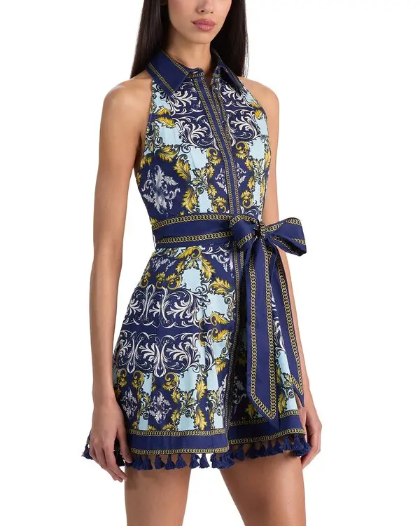 Alice + Olivia Lucy Sleeveless Mini Shirtdress