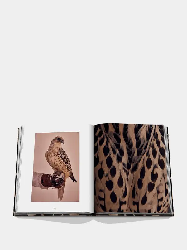 Assouline Falcons From Saudi Arabia