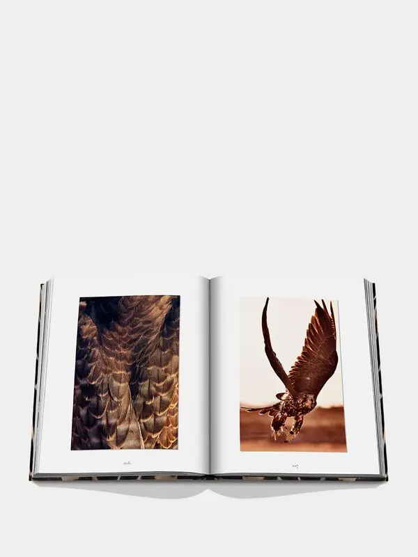 Assouline Falcons From Saudi Arabia