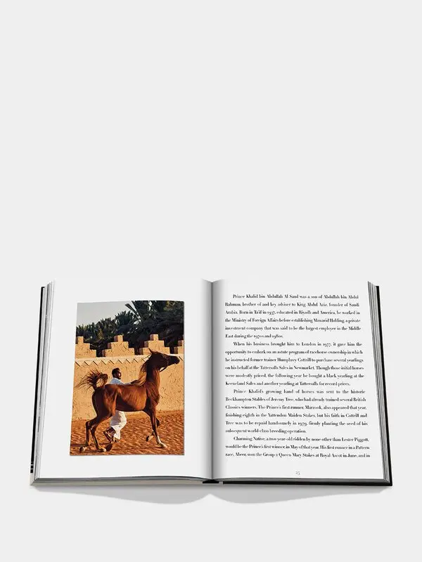 Assouline Horses From Saudi Arabia - Brown