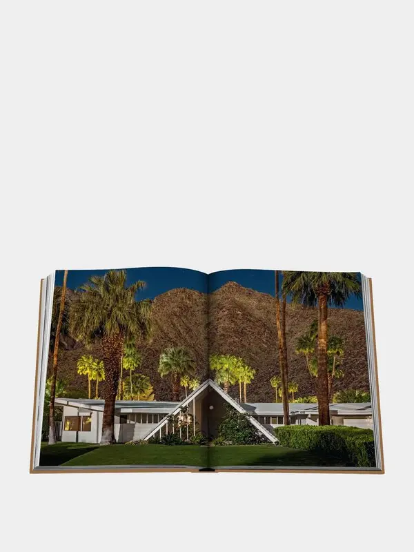 Assouline Palm Springs - Brown