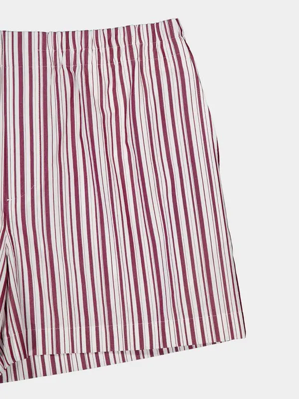 Gucci Striped Cotton Poplin Shorts - Burgundy