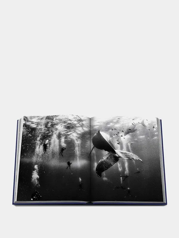 Assouline Ocean Wanderlust
