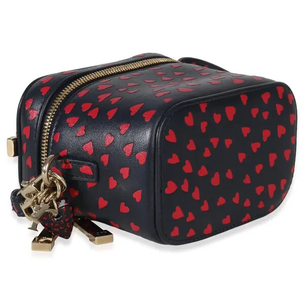 Dior Dioramour Diortravel Micro Vanity Case