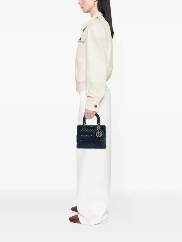 Dior 2010 Medium Lady Satchel