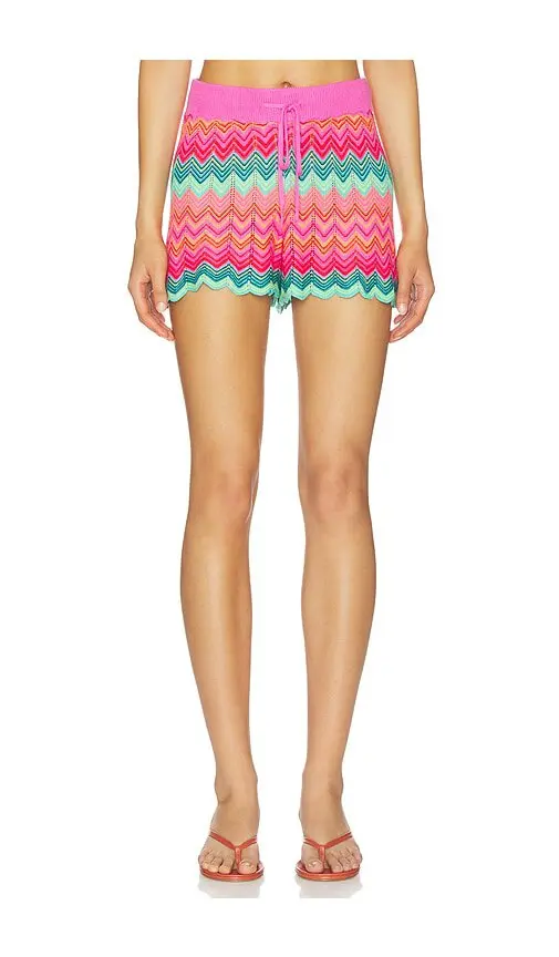Beach Riot Balboa Knit Shorts