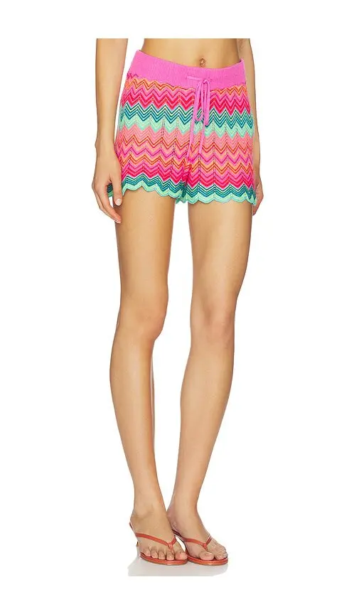 Beach Riot Balboa Knit Shorts