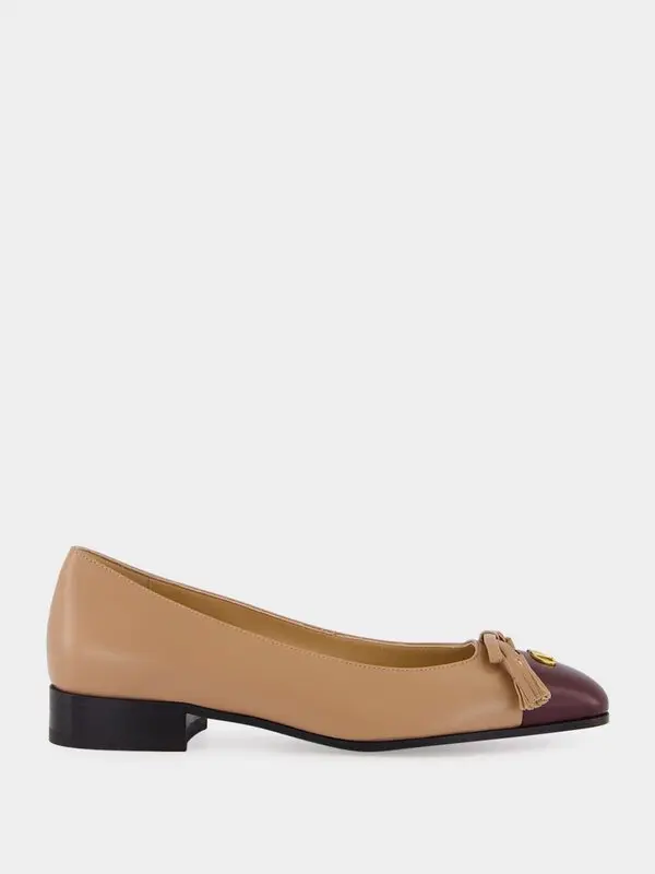 Valentino Garavani Two-tone Ballerina Flats With Vlogo - Pink