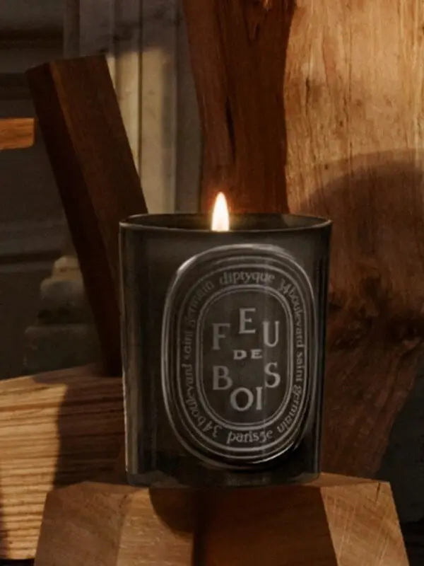 DIPTYQUE Feu De Bois Medium Candle 300gr - Grey