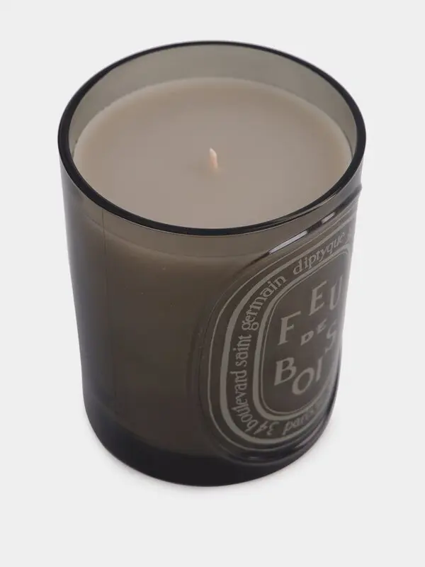 DIPTYQUE Feu De Bois Medium Candle 300gr - Grey