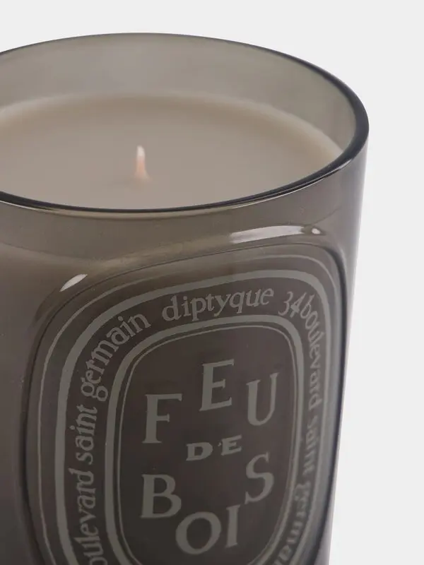 DIPTYQUE Feu De Bois Medium Candle 300gr - Grey