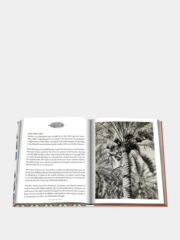 Assouline Saudi Dates: A Portrait Of The Sacred Fruit - Multicolour