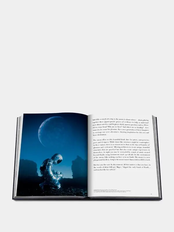 Assouline Moon Paradise - Grey