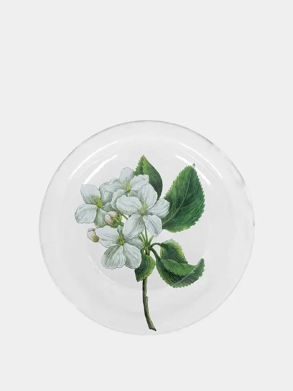 ASTIER DE VILLATTE Apple Blossom Platter - Multicolour