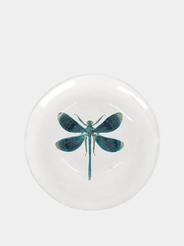 ASTIER DE VILLATTE Small Dragonfly Soup Plate - Green