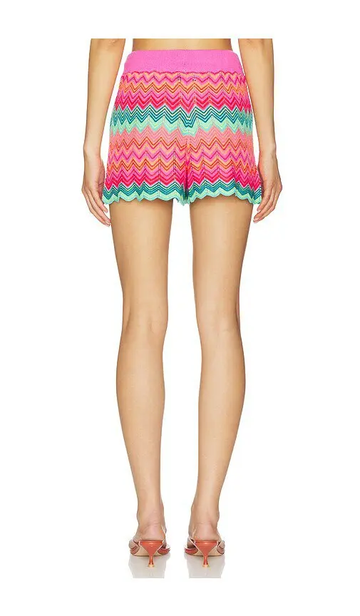 Beach Riot Balboa Knit Short